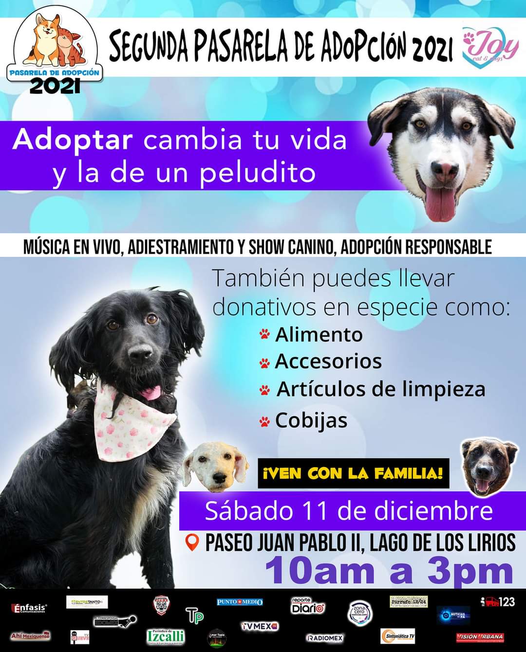 Ayuda al «Refugio Joy» adoptando un perrito; esta agrupación de ...